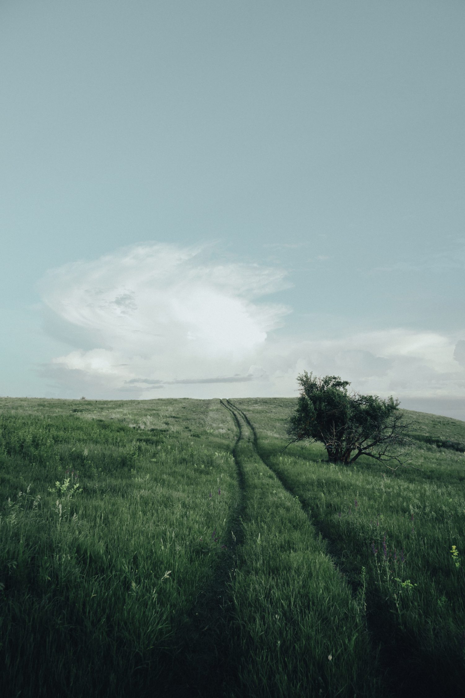 Bob & Marcy W. from Whitney, TX -12 Steps-1977 | Recovery Speakers