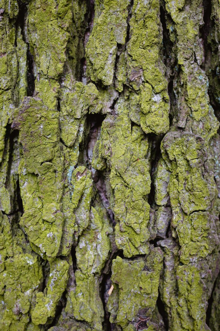 Clancy I., Johnnie H., Peggy M., and Dick M. - "Part 1 - Sponsorship ...