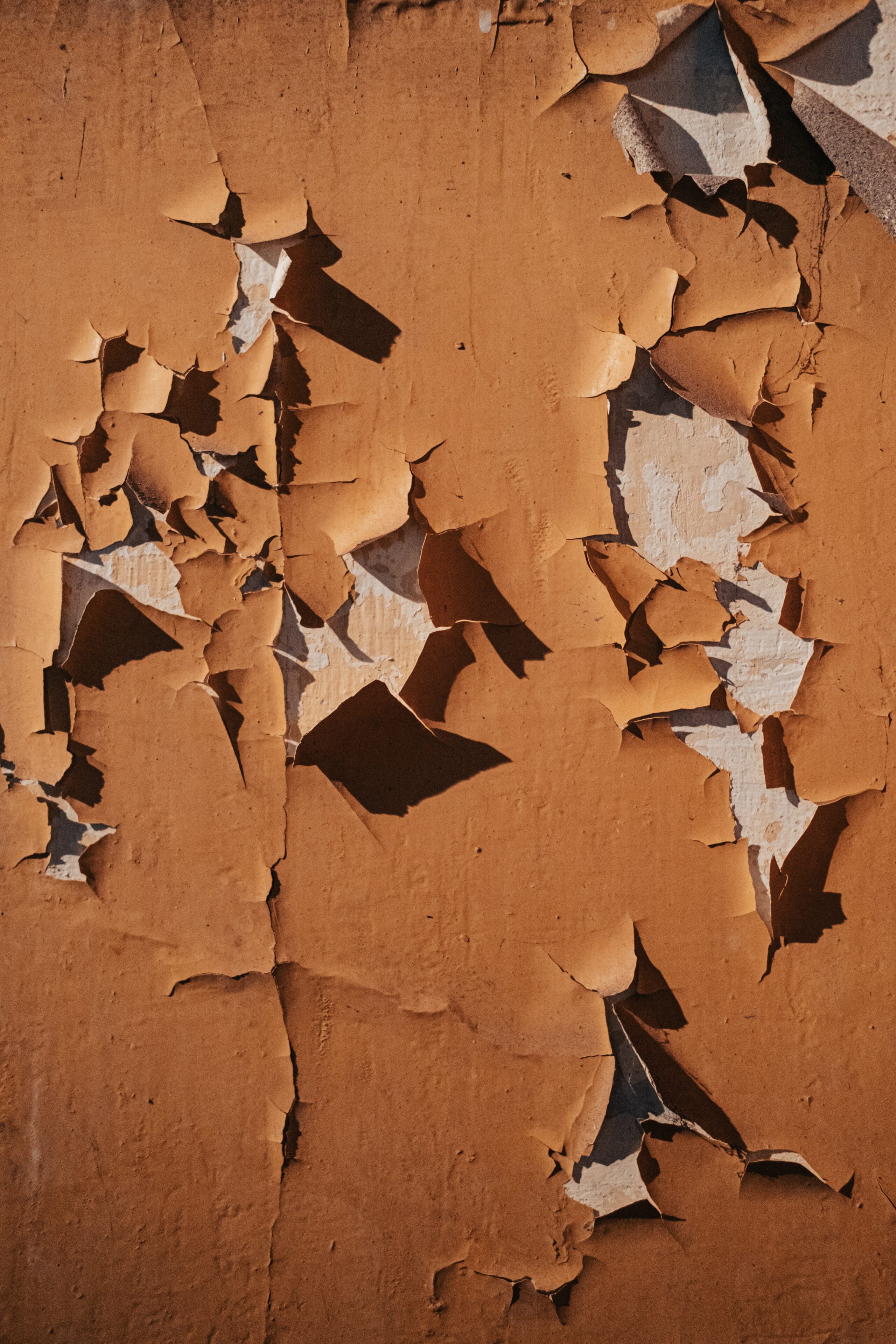 Hazel R. from New York, NY -Blue Ridge Retreat - West Virginia - 9/80 ...