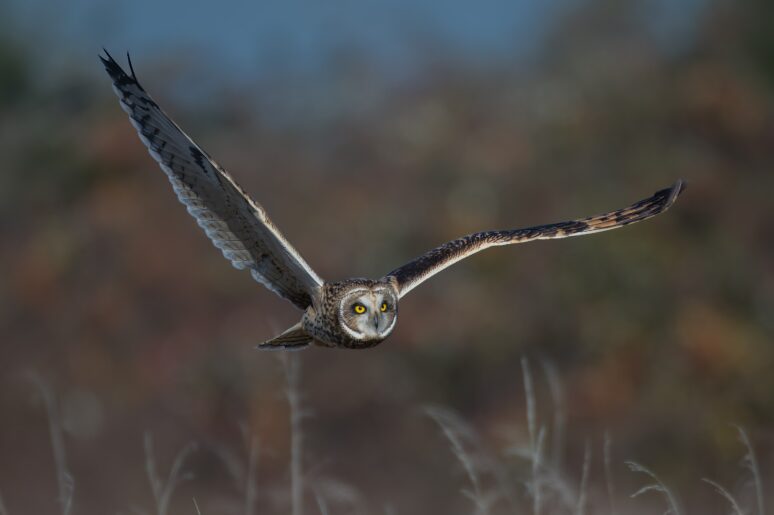 Joe McQ. & Charlie P. - Part 3 - Big Book Study - Akron, OH. - 3/4/1988 ...