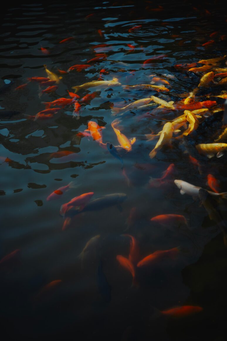 Clancy I. from Venice, CA at Back to the Big Book Convention 1994 ...