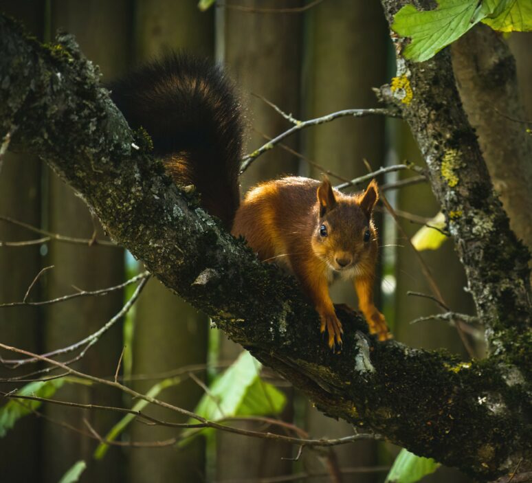 Karen L. (AFG) from Salisbury, MD at Footprints in the Winter Sand 2012 ...